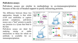 Protein metabolism and nitrogen fixation and metabolism | PPTX