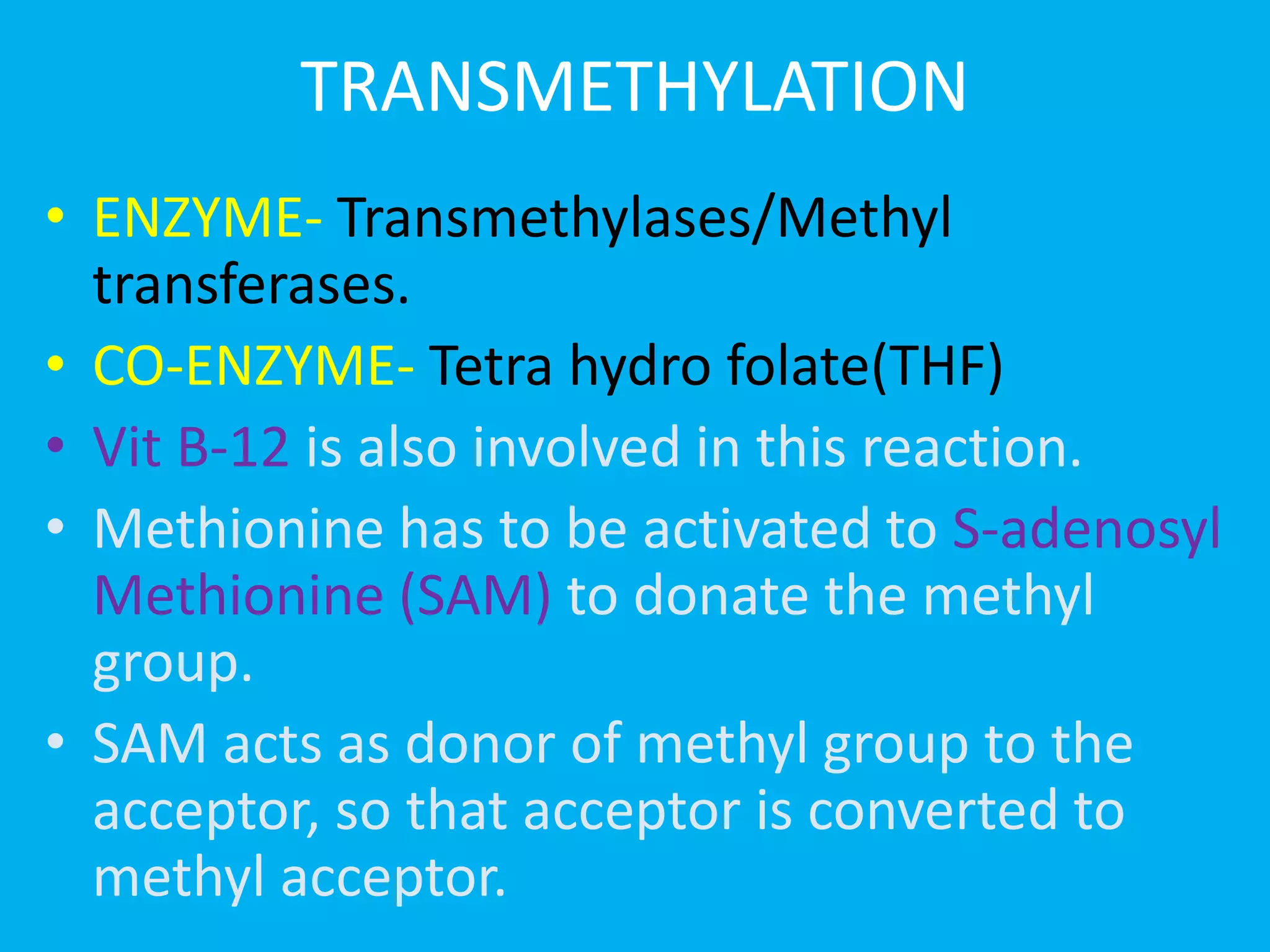 Protein metabolism-Catabolism | PPTX