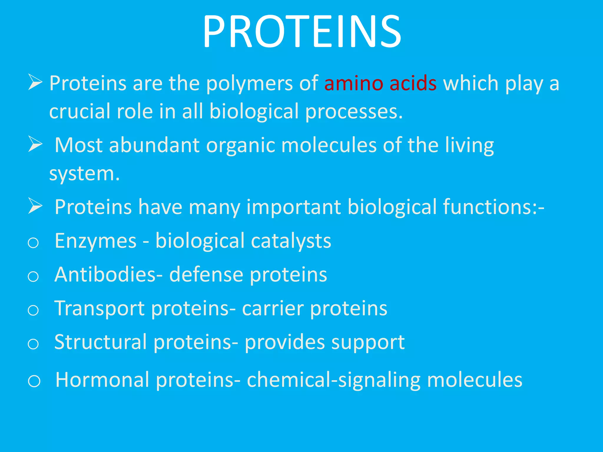 Protein metabolism-Catabolism | PPTX