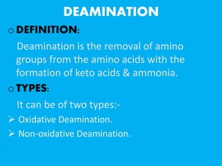 Protein metabolism-Catabolism | PPTX