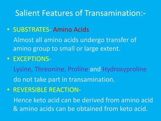 Protein metabolism-Catabolism | PPTX