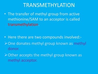 Protein metabolism-Catabolism | PPTX