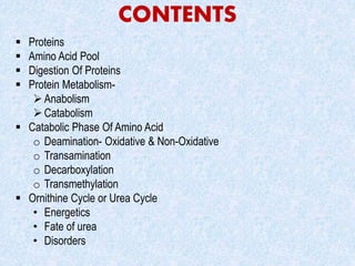 Protein metabolism-Catabolism | PPTX