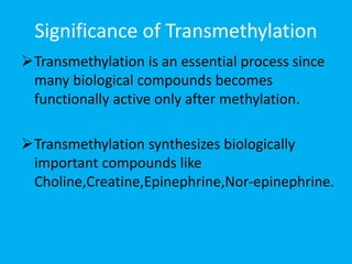 Protein metabolism-Catabolism | PPTX