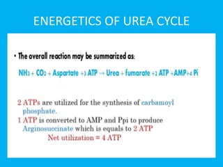 Protein metabolism-Catabolism | PPTX