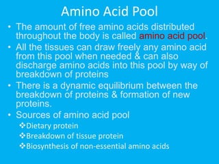 Protein metabolism-Catabolism | PPTX
