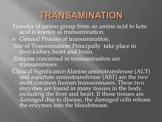 Protein metabolism by abrar khan | PPTX