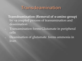 Protein metabolism by abrar khan | PPTX