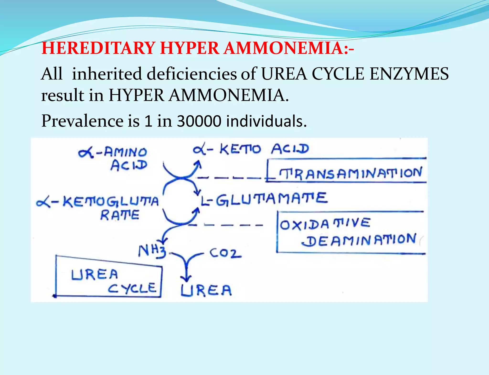 Protein Metabolism | PPTX