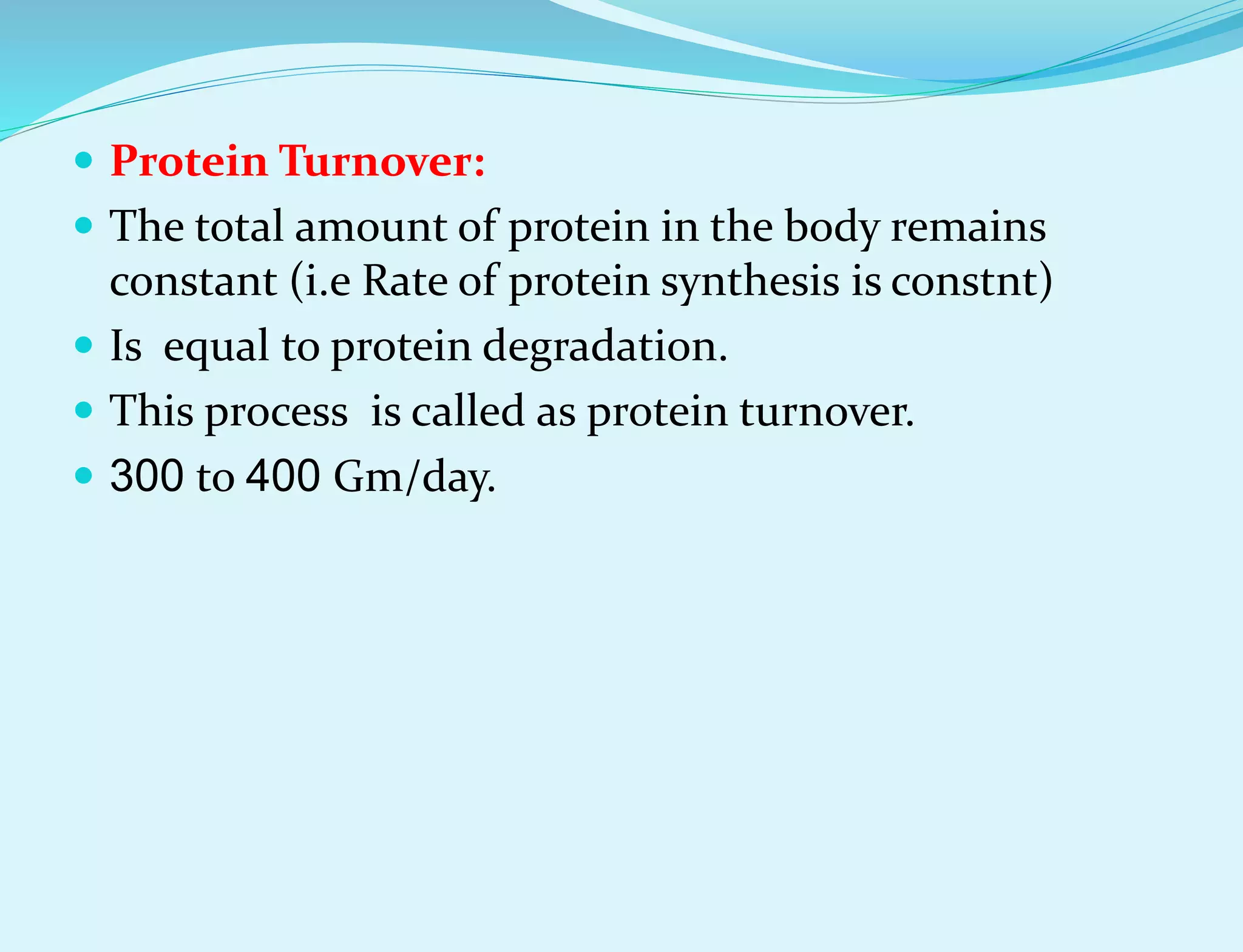 Protein Metabolism | PPTX