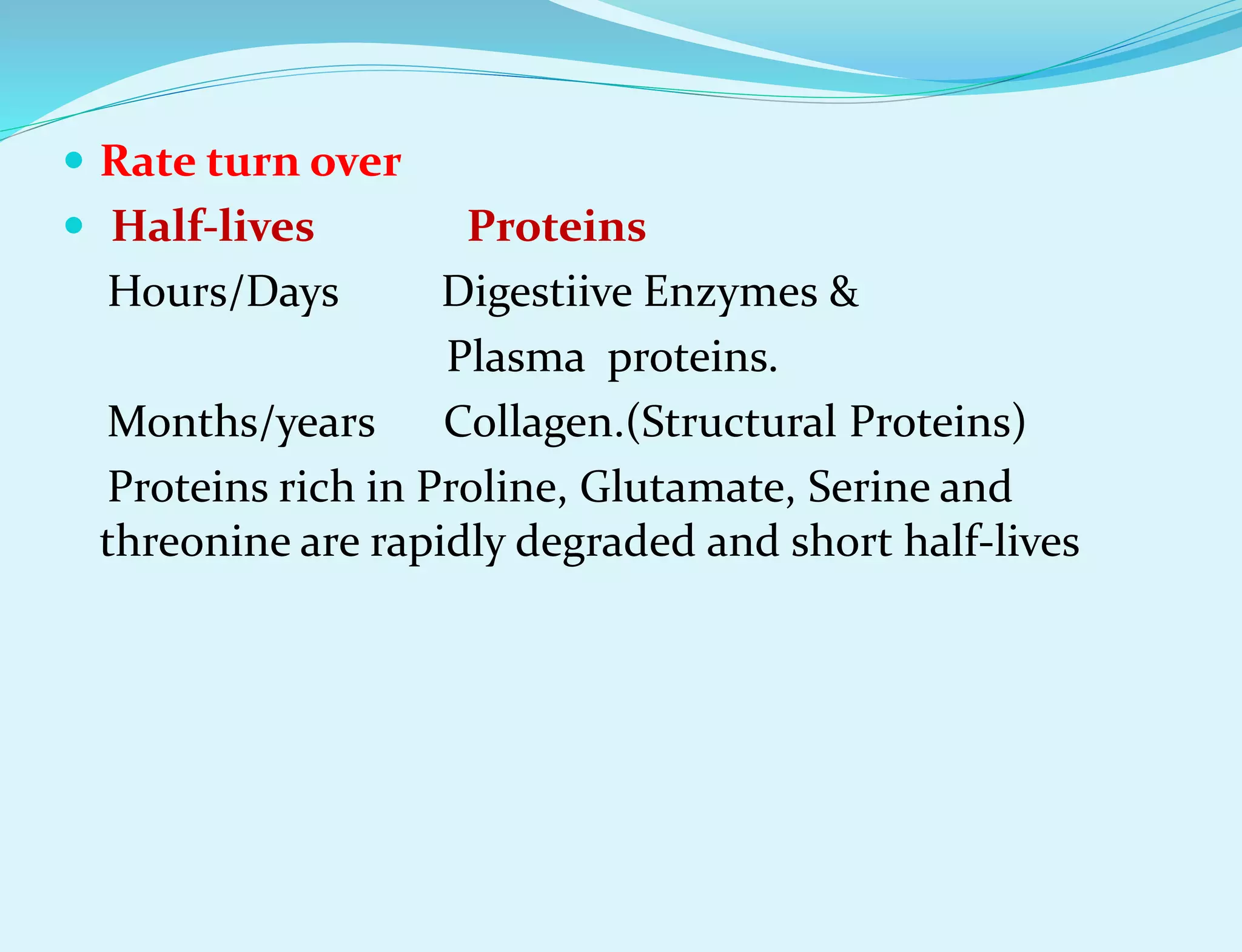 Protein Metabolism | PPTX