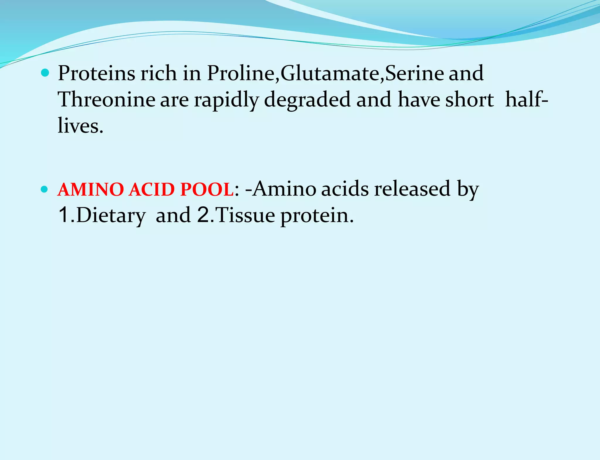 Protein Metabolism | PPTX