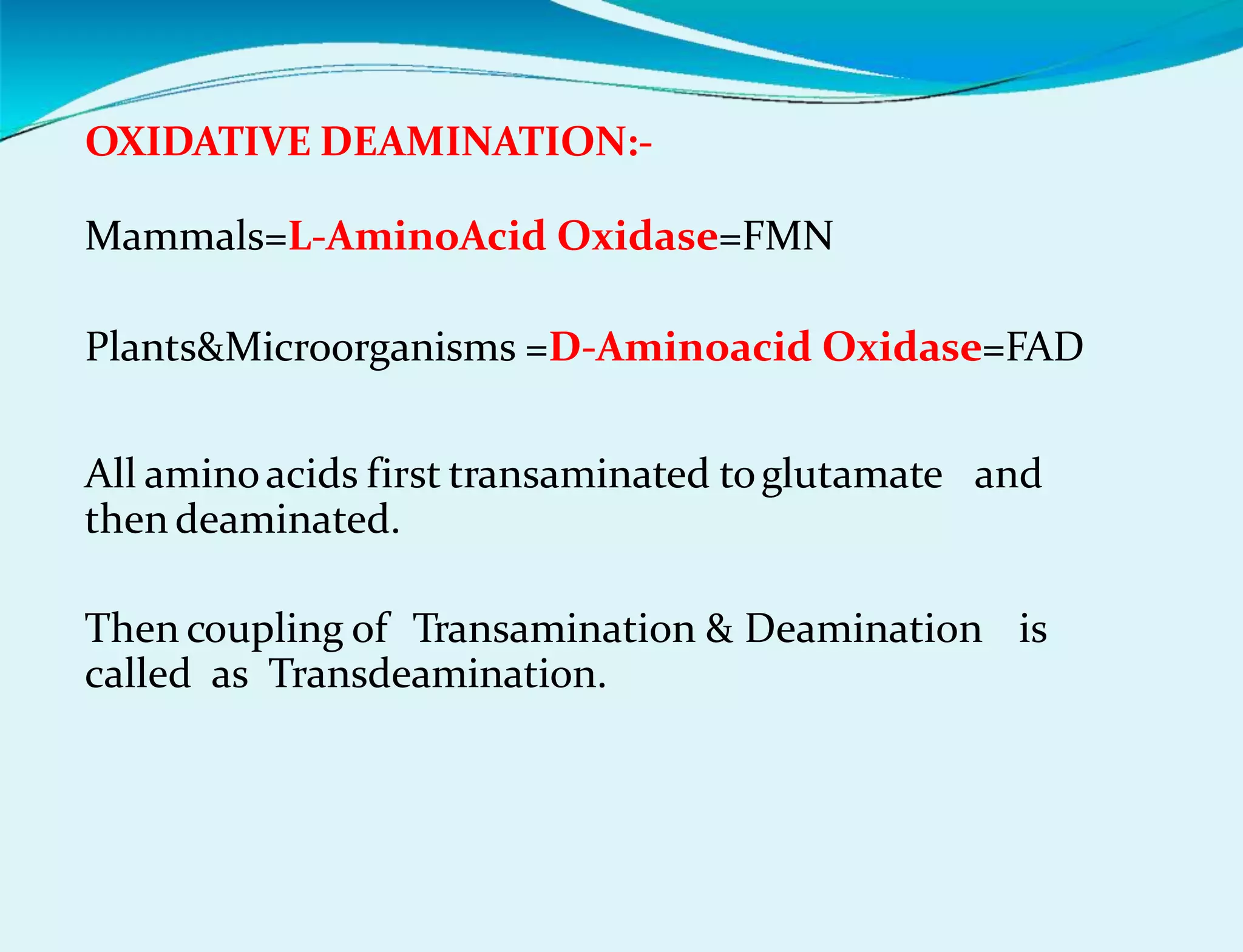 proteinmetabolismfornursing-151129054131-lva1-app6891 (1).pptx