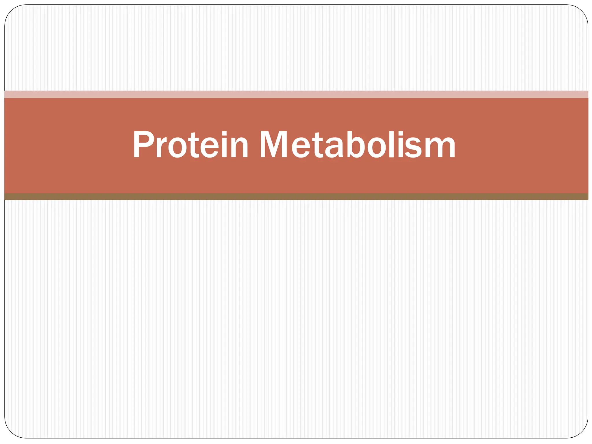Protein Metabolism new.pdf