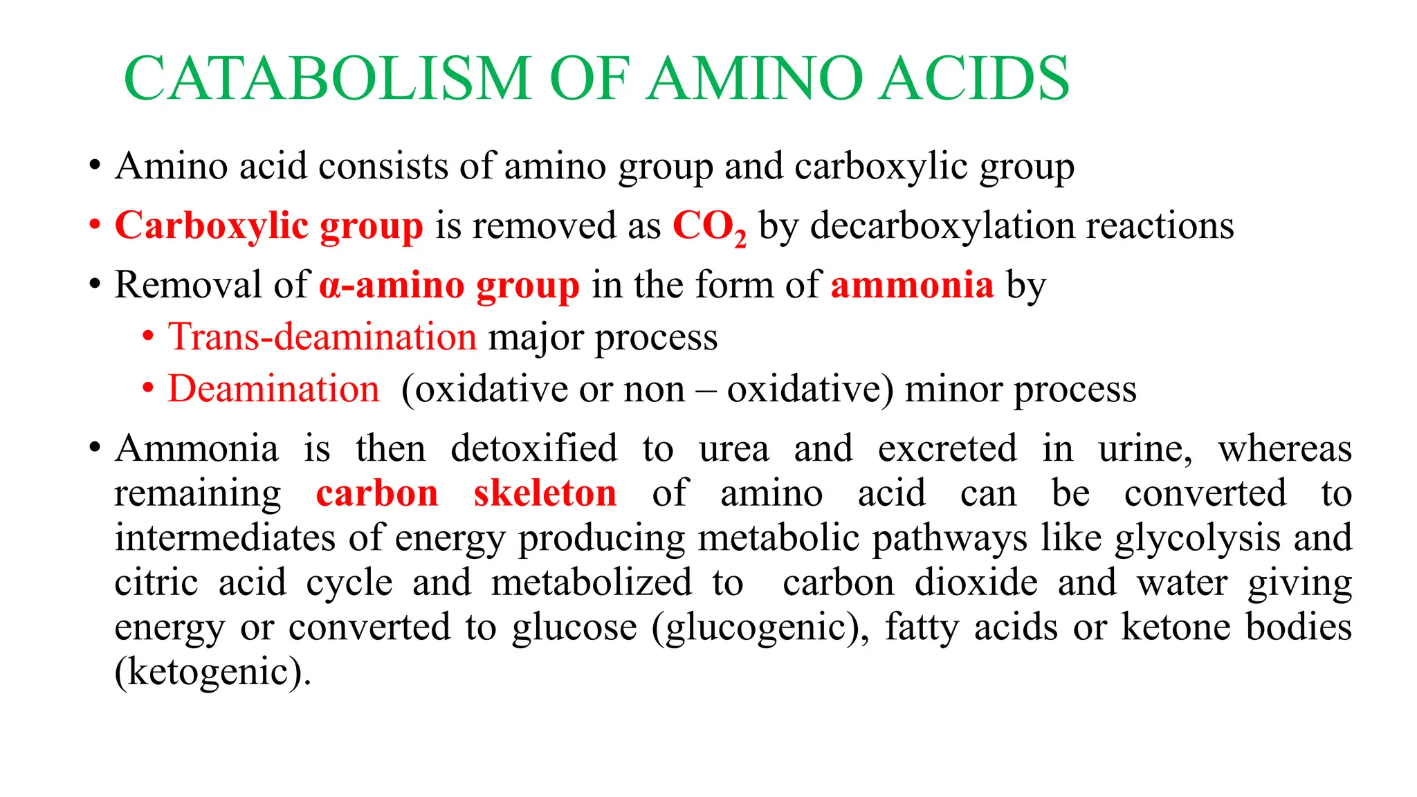 Protein metabolism transamination deamination, fate of ammonia, urea ...