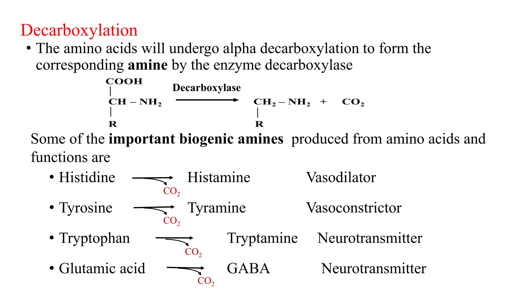 Protein metabolism transamination deamination, fate of ammonia, urea ...