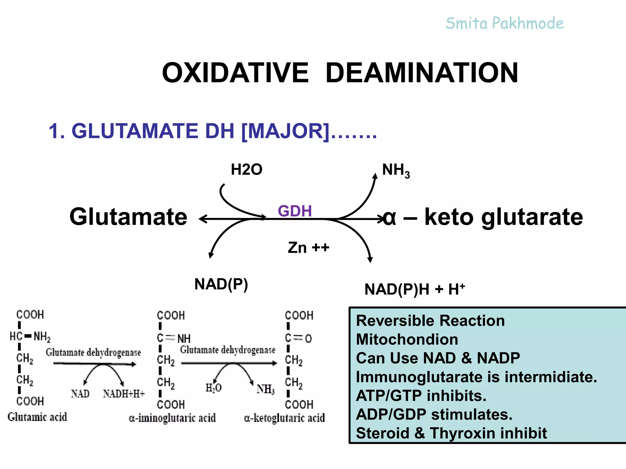 Protein & Amino Acid Metabolism | PPT