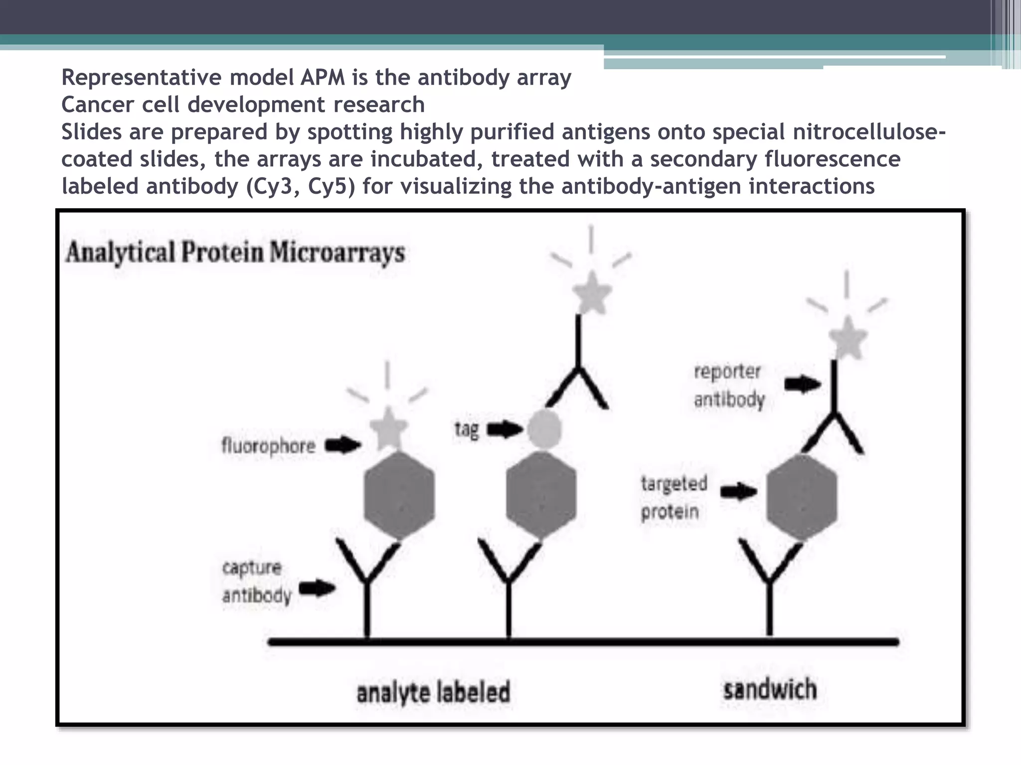 Protein microarray | PPTX
