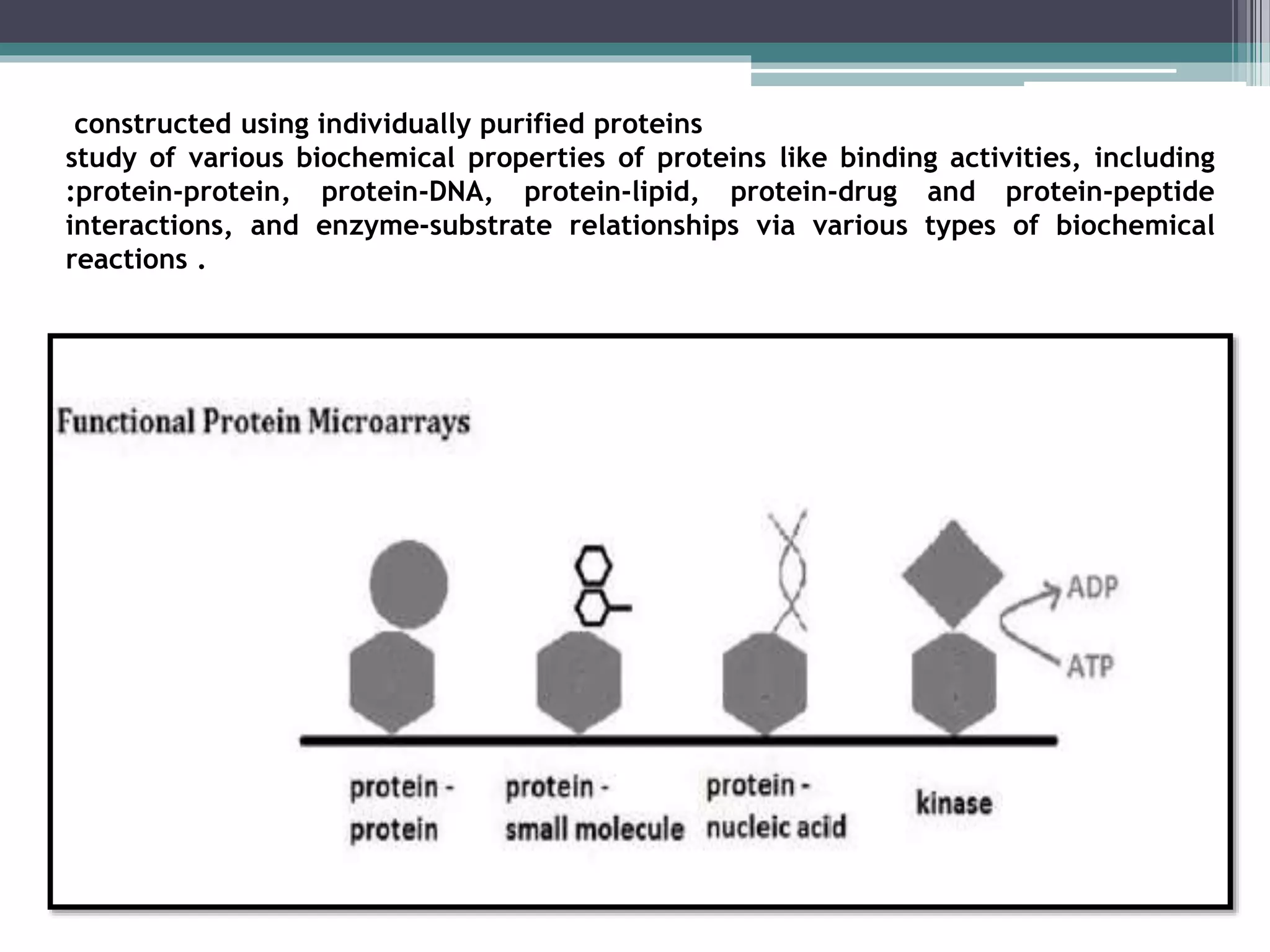 Protein microarray | PPTX