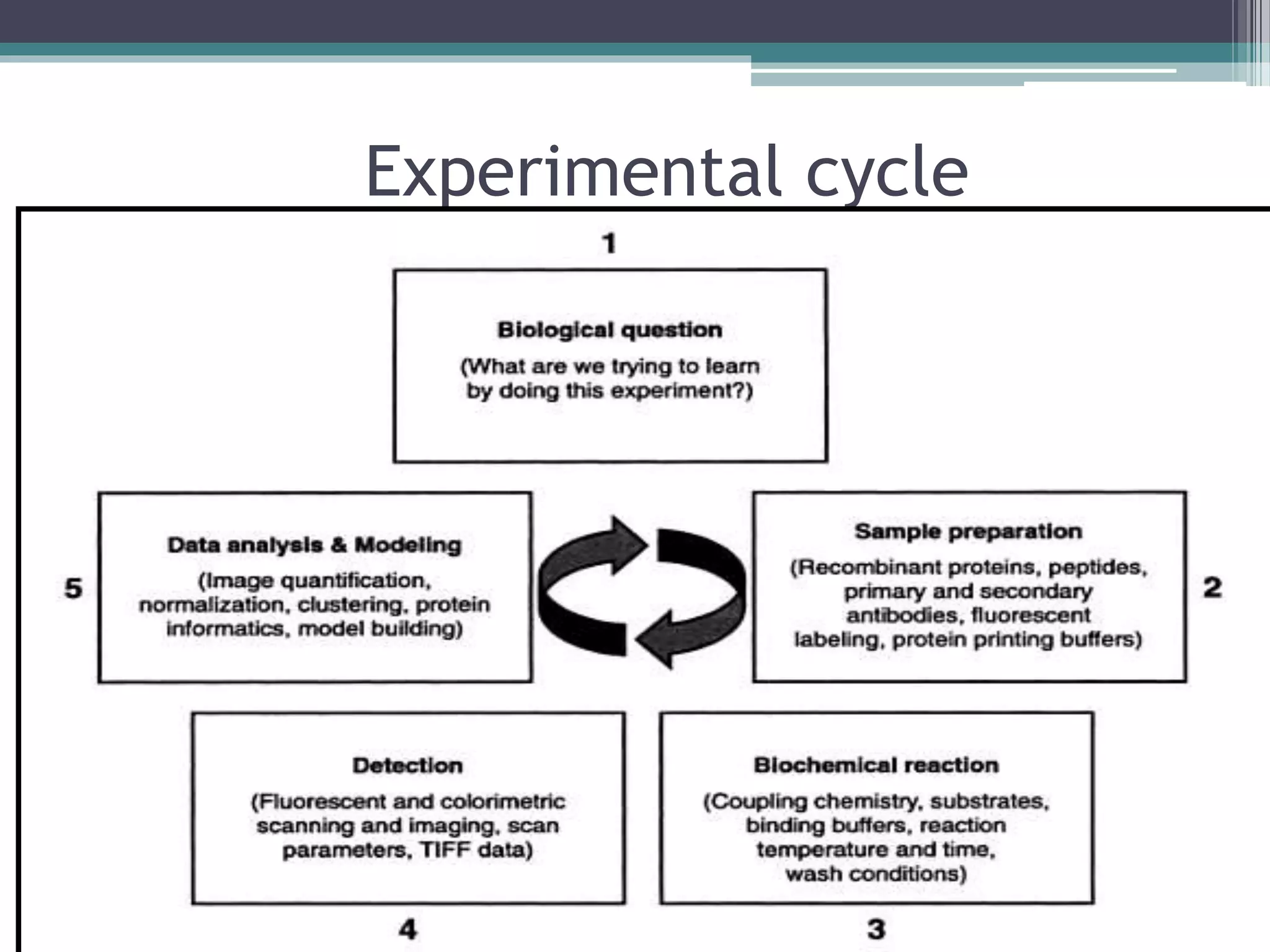 Protein microarray | PPTX