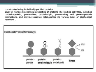 Protein microarray | PPTX