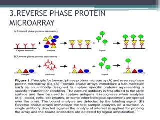 Protein micro array | PPTX