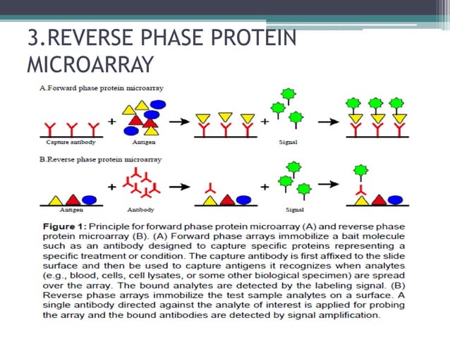 Protein micro array | PPTX
