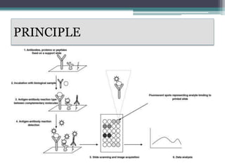 Protein micro array | PPTX