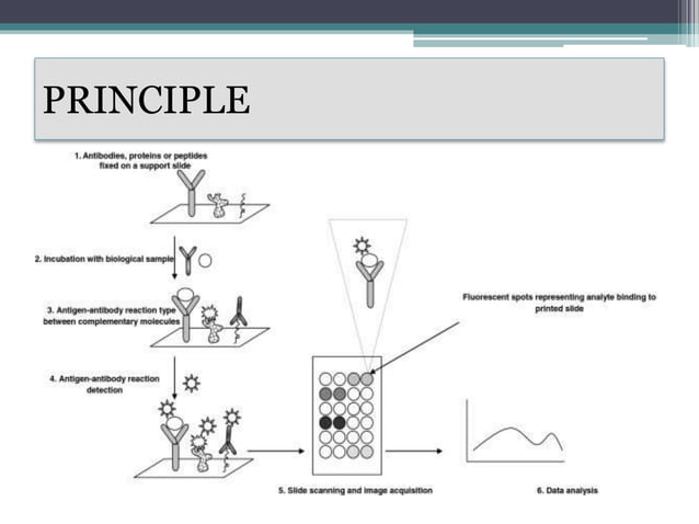 Protein micro array | PPTX