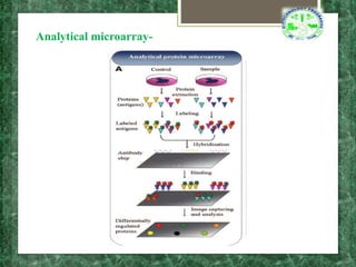 protein microarray.pptx