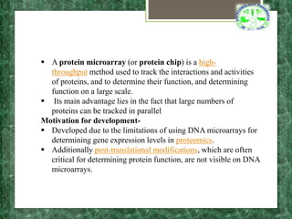 protein microarray.pptx
