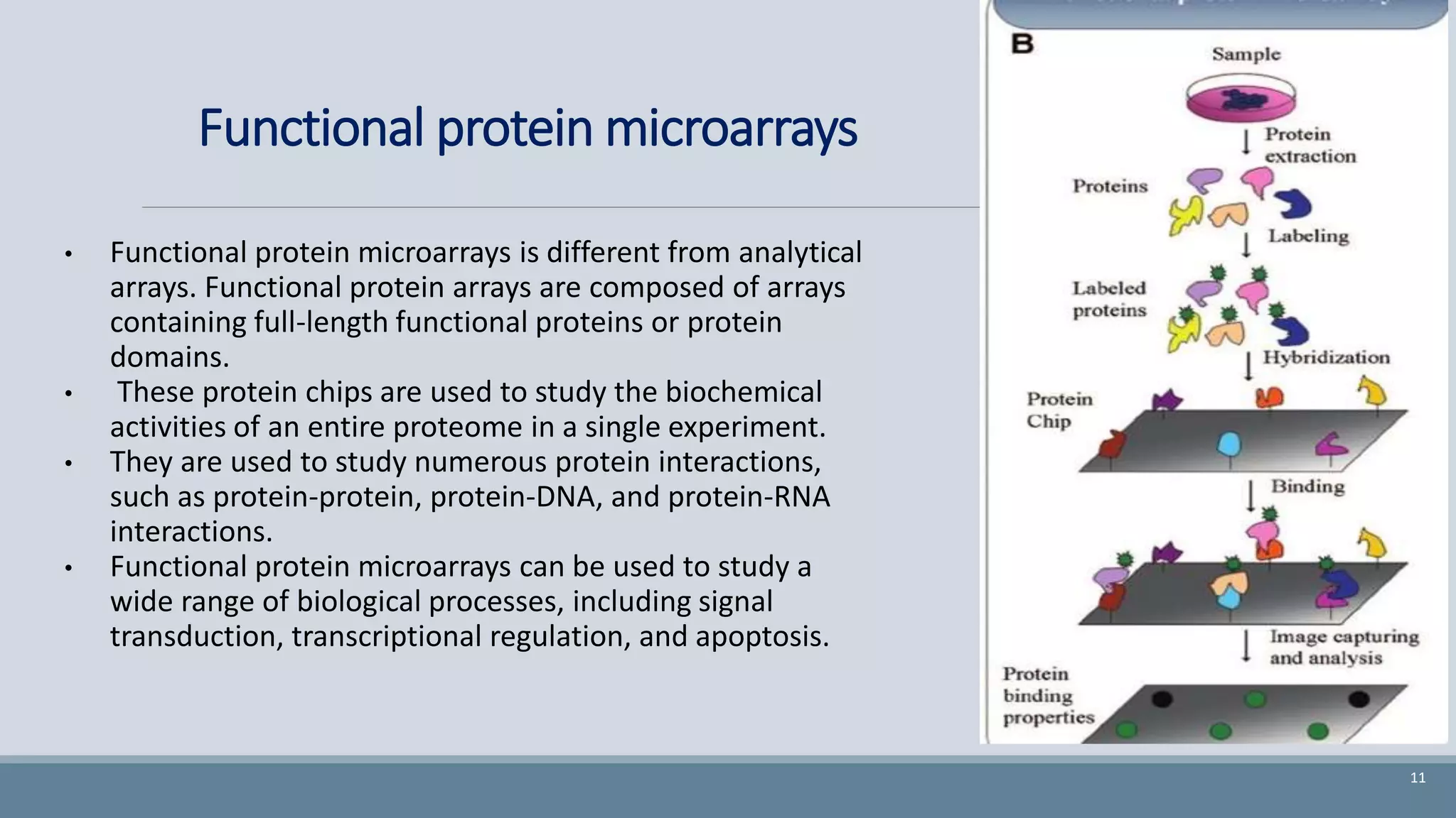 Protein microarray .pptx