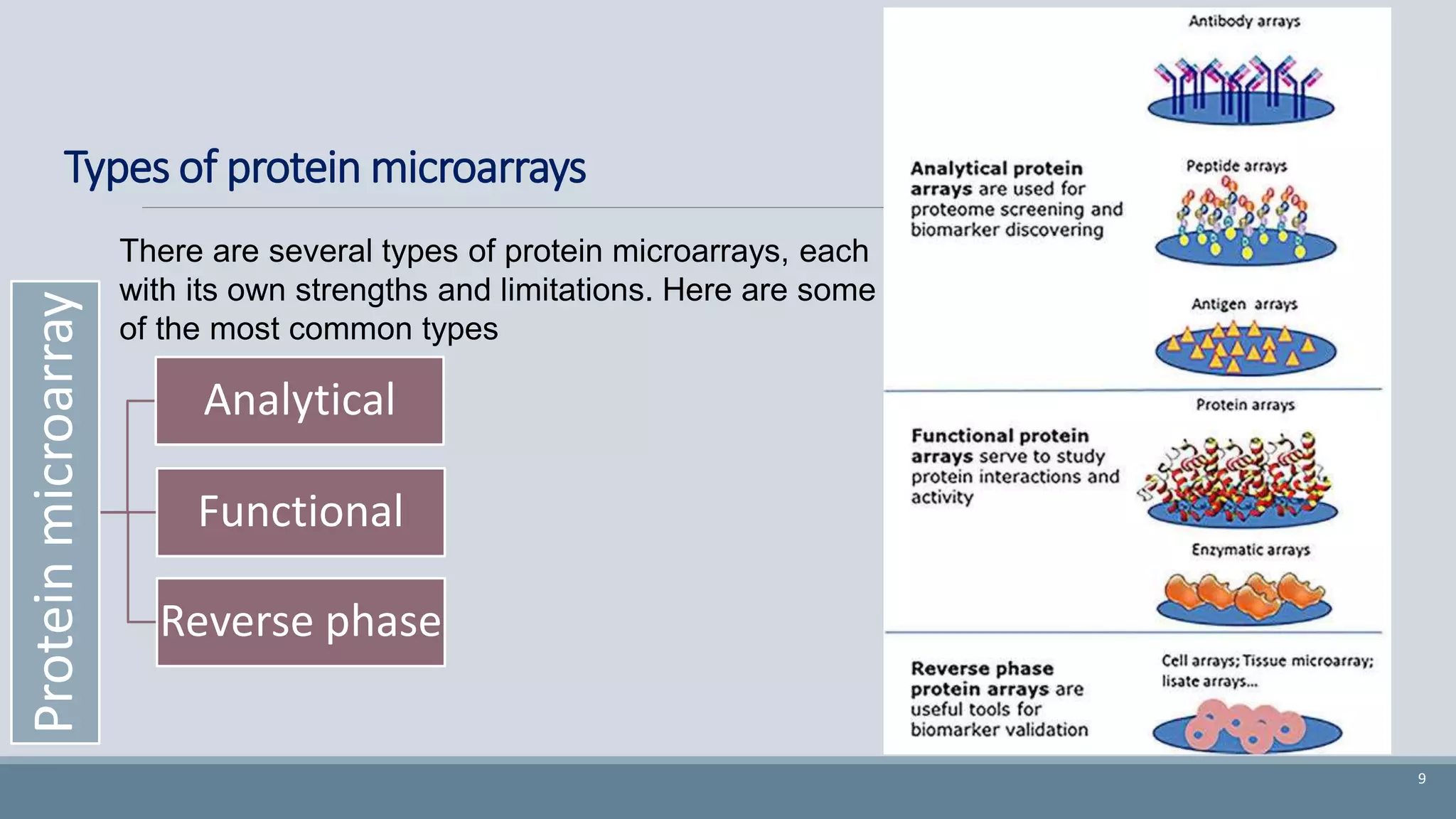 Protein microarray .pptx