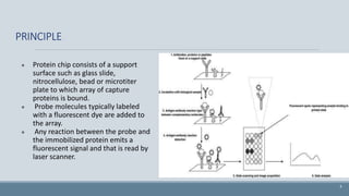Protein microarray .pptx