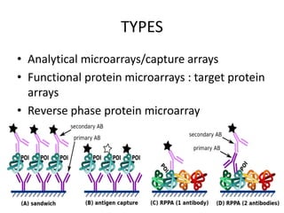 Protein microarray.pptx