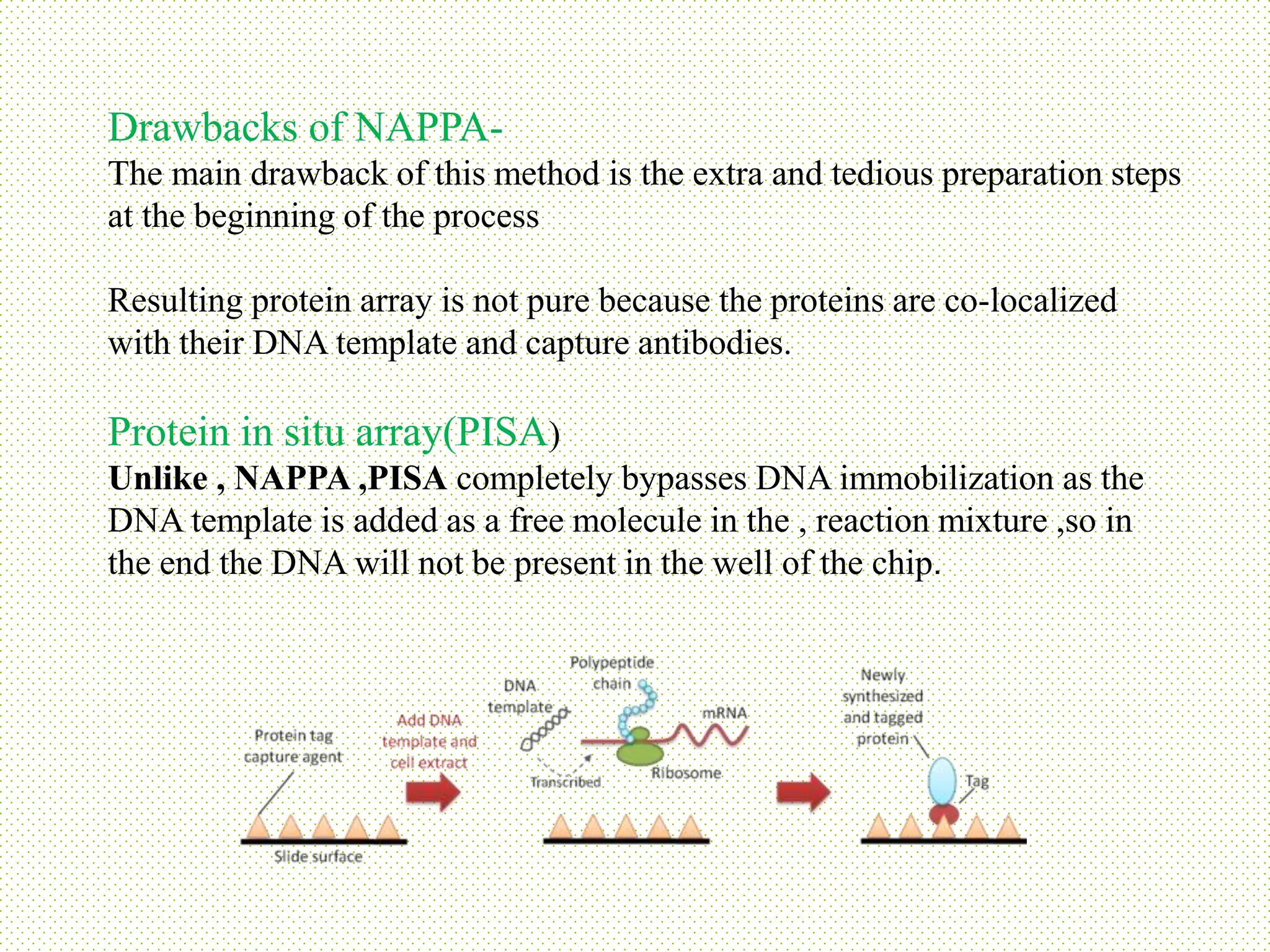 protein microarray-types and approaches.pptx