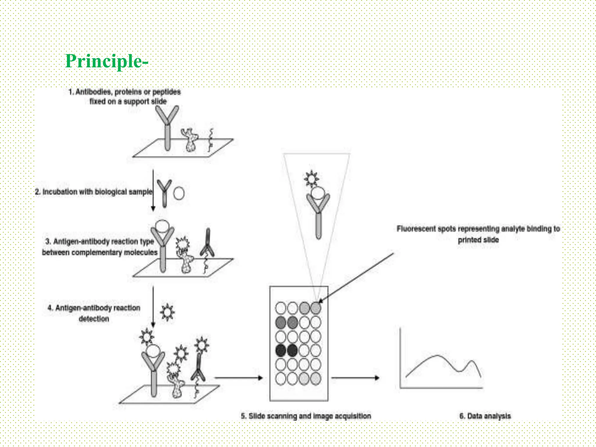 protein microarray-types and approaches.pptx
