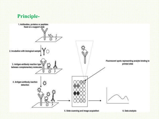 protein microarray-types and approaches.pptx