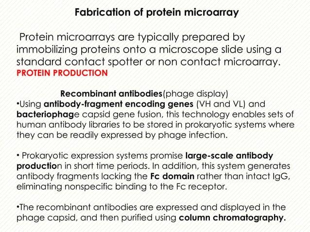 protein microarray matrix protein identification | PPT
