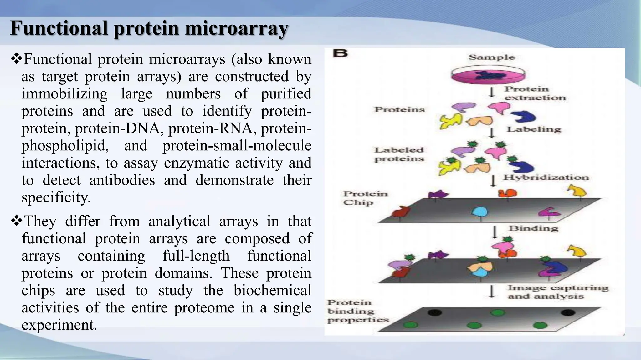 protein microarray_k.b institute (m.pharm pharmacology) .pptx