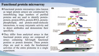protein microarray_k.b institute (m.pharm pharmacology) .pptx