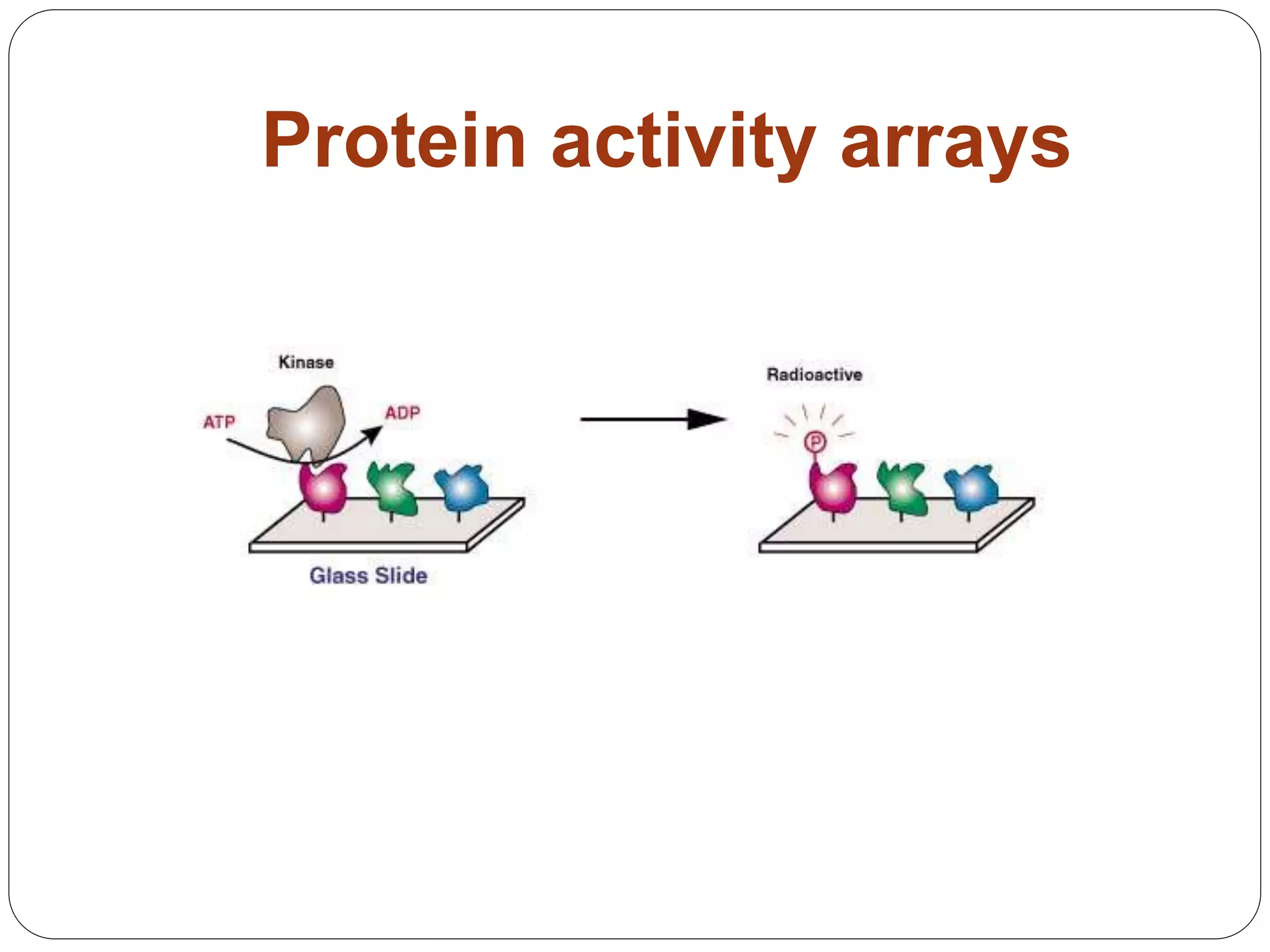 Protein Microarrays | PPTX