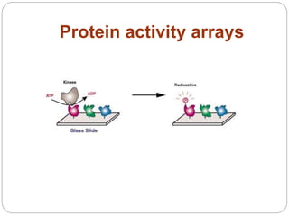 Protein Microarrays | PPTX