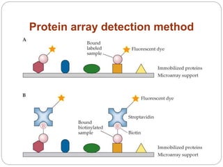 Protein Microarrays | PPTX