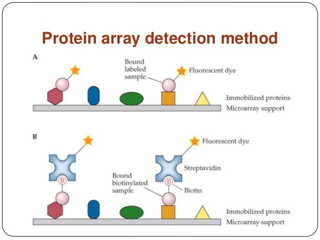 Protein Microarrays