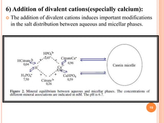 Protein minerals interactions | PPTX