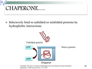 Protein misfolding & diseases | PPTX