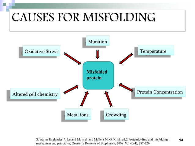 Protein misfolding & diseases | PPTX