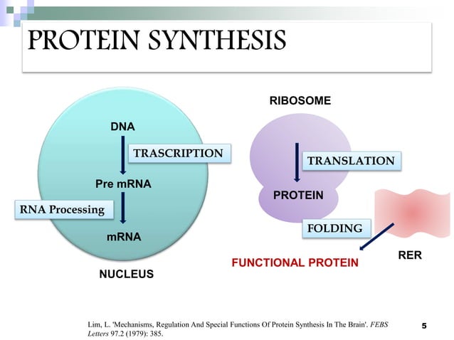 Protein misfolding & diseases | PPTX
