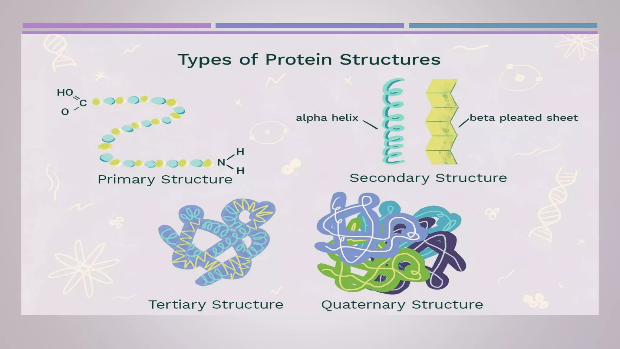 protein modeling.pptx